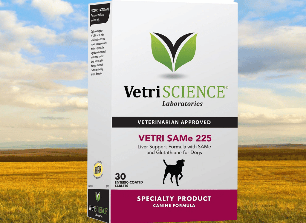 Sam E For Dogs: The Benefits Of Natural Wellness