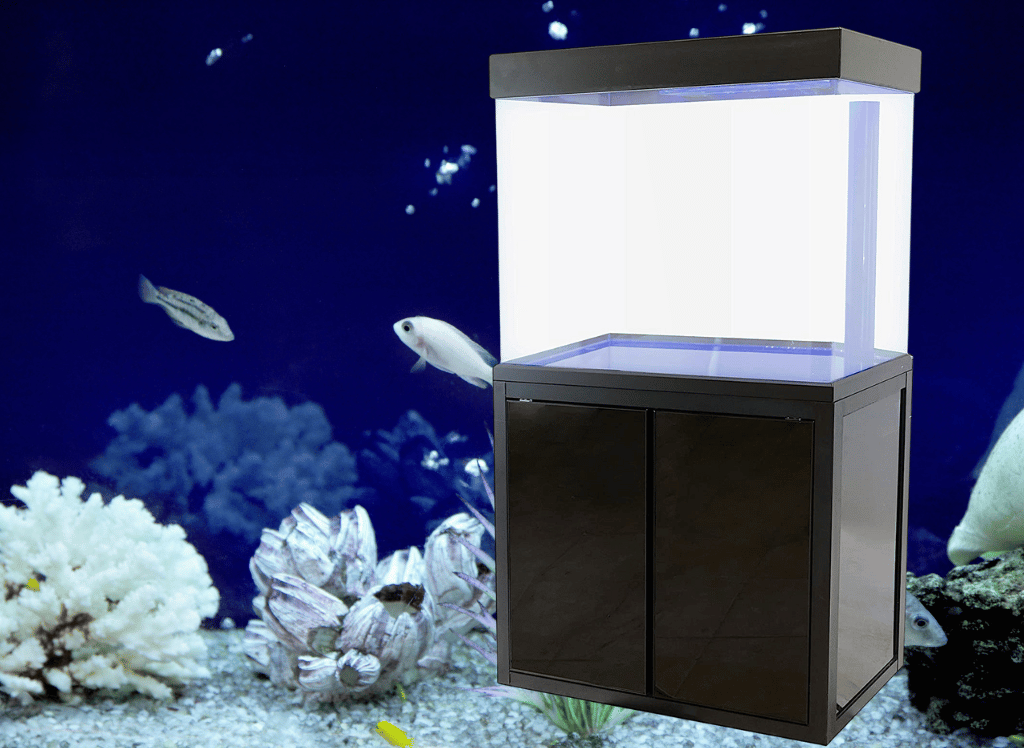 Unleash the Aquatic Wonders with a 50 Gallon Fish Tank