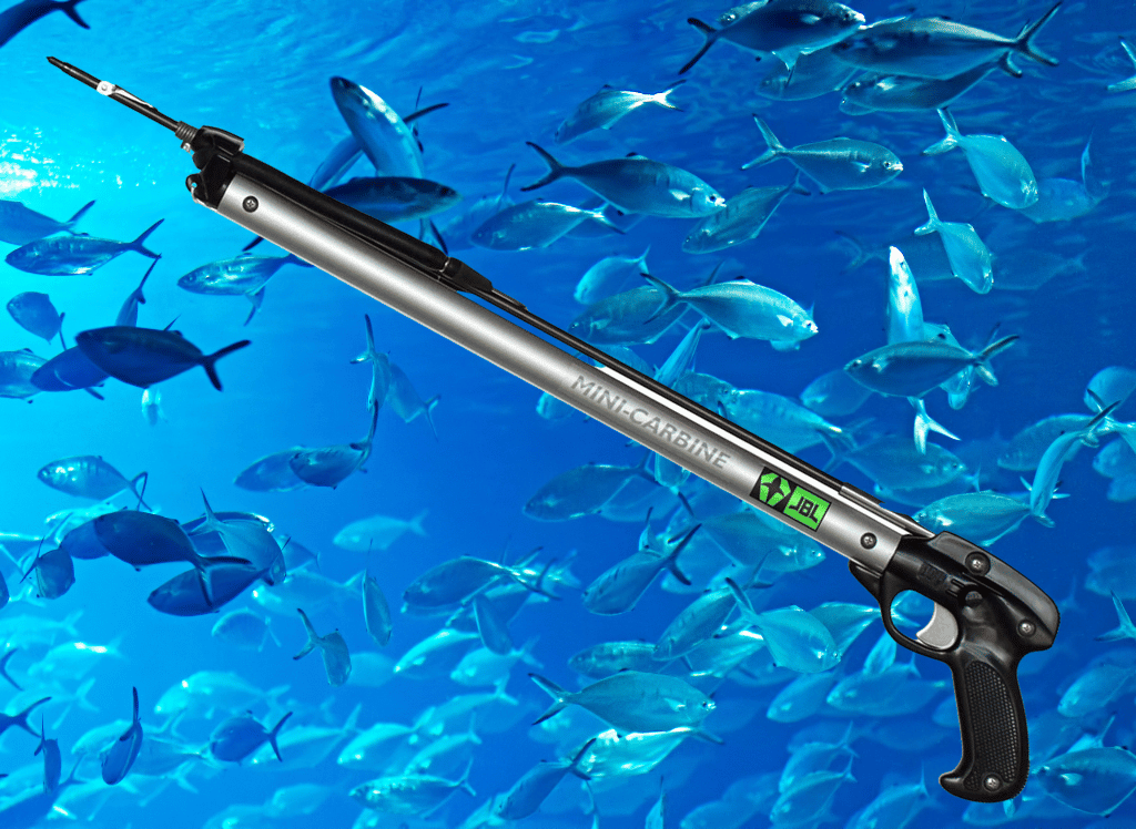 Spear Fishing with a Spear Gun for the Ultimate Underwater Hunting