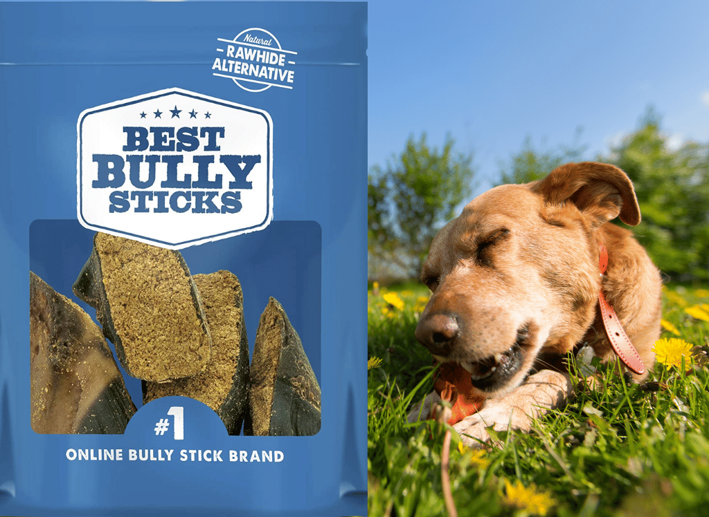 Calming Peanut Butter for Dogs: The Perfect Supplements for Your Furry ...