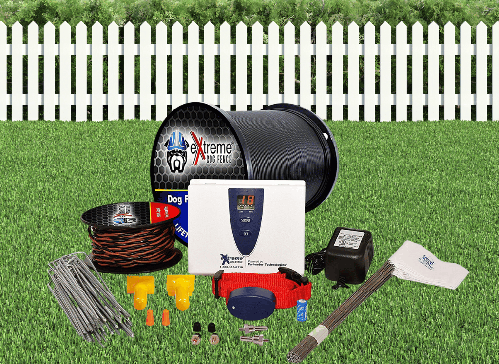 Unleashing Your Dog's Potential: The Benefits of Extreme Dog Fence Products