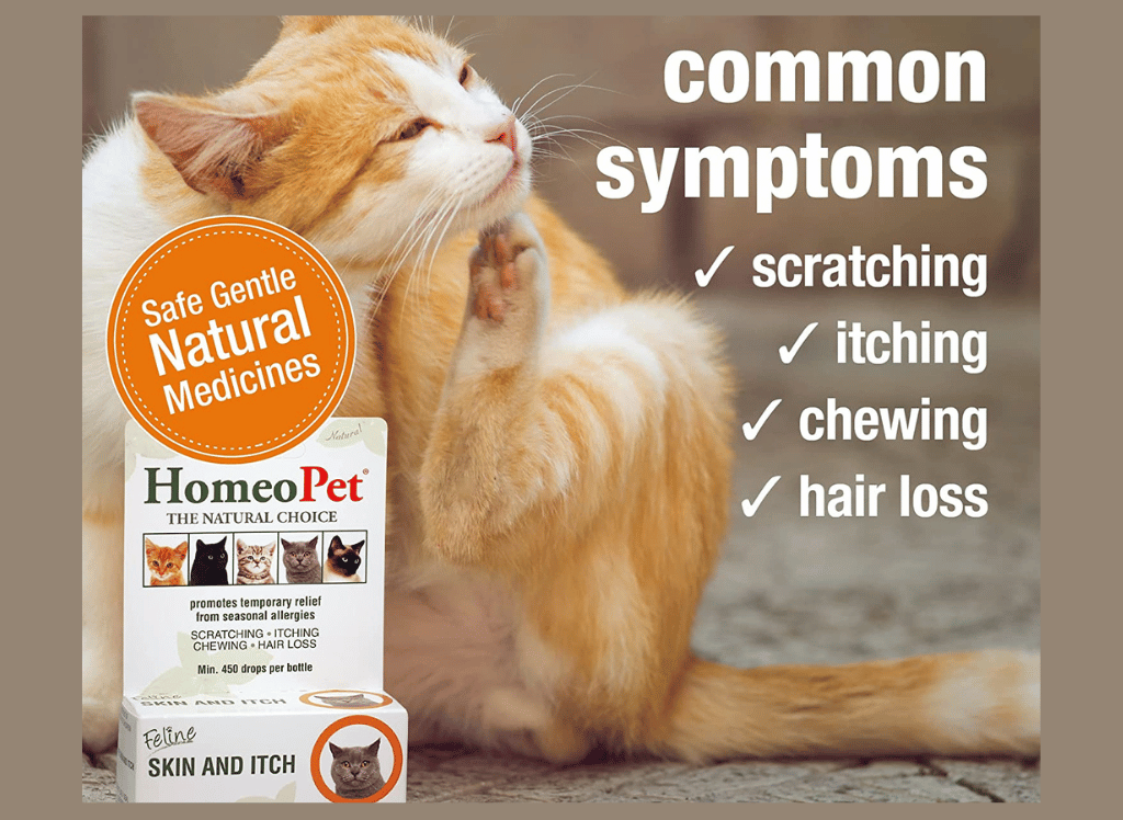 Cat-Zits: The Lowdown on Feline Acne