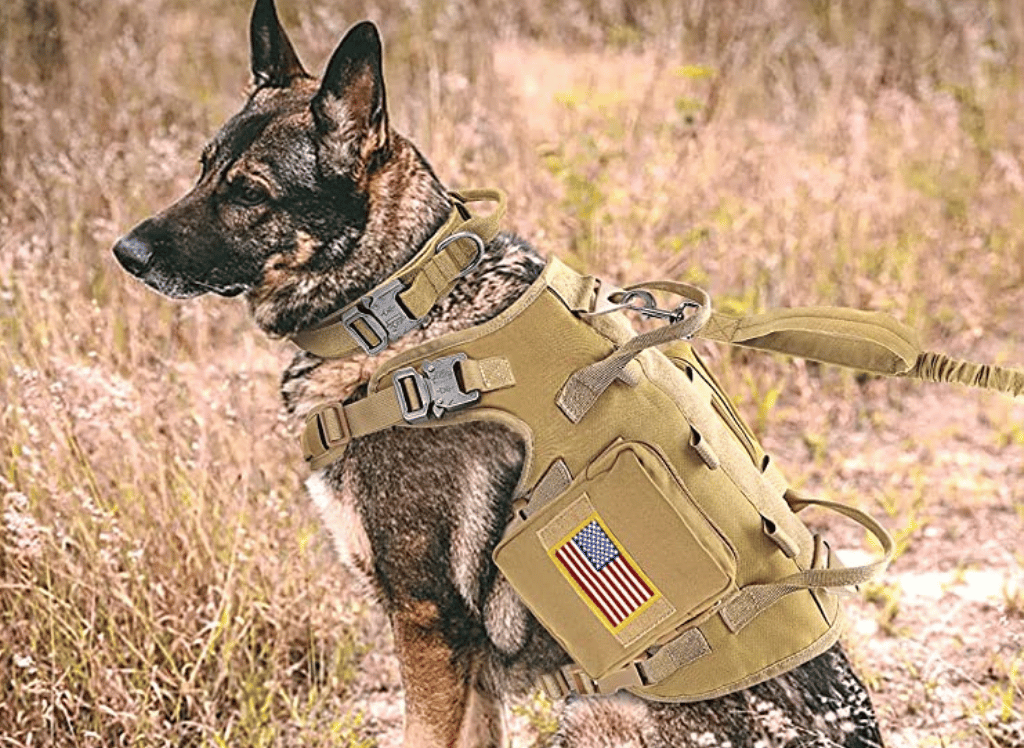 Tactical Dog Harness: Get Ready for the Adventure with Your Pup