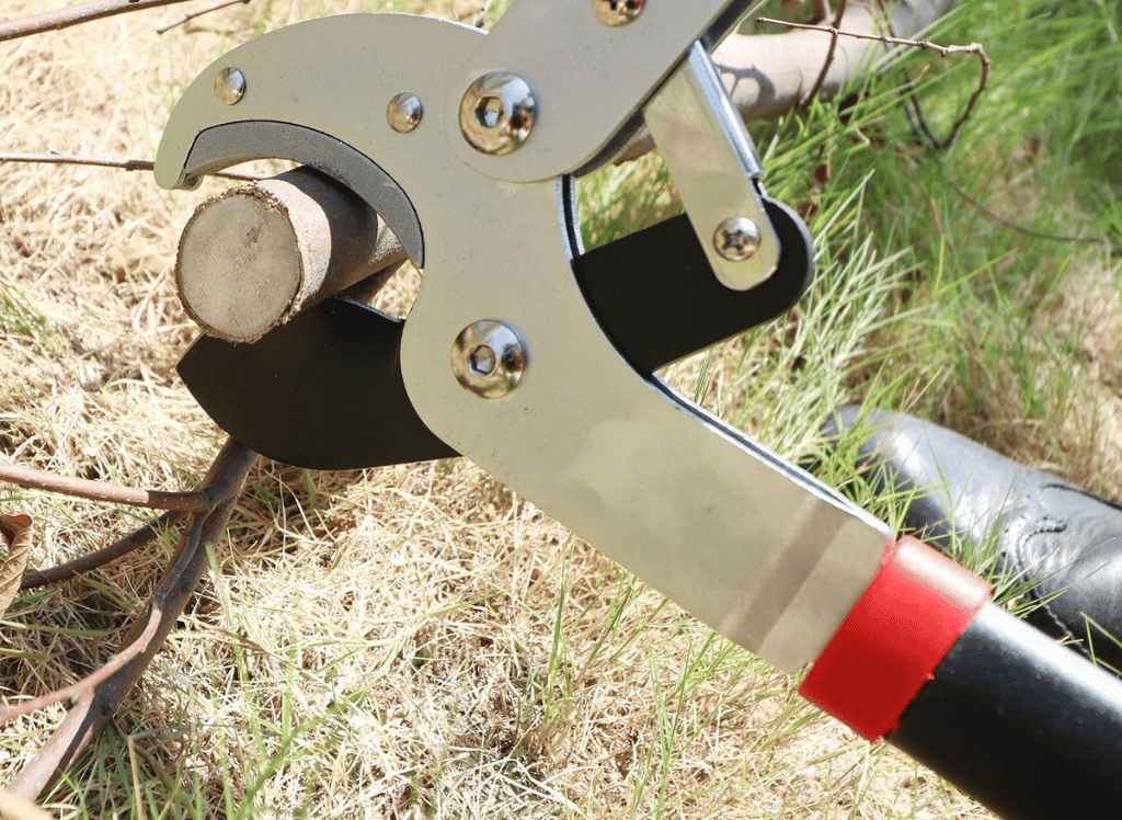 The Cutting Edge: Anvil Lopper To Master Your Garden