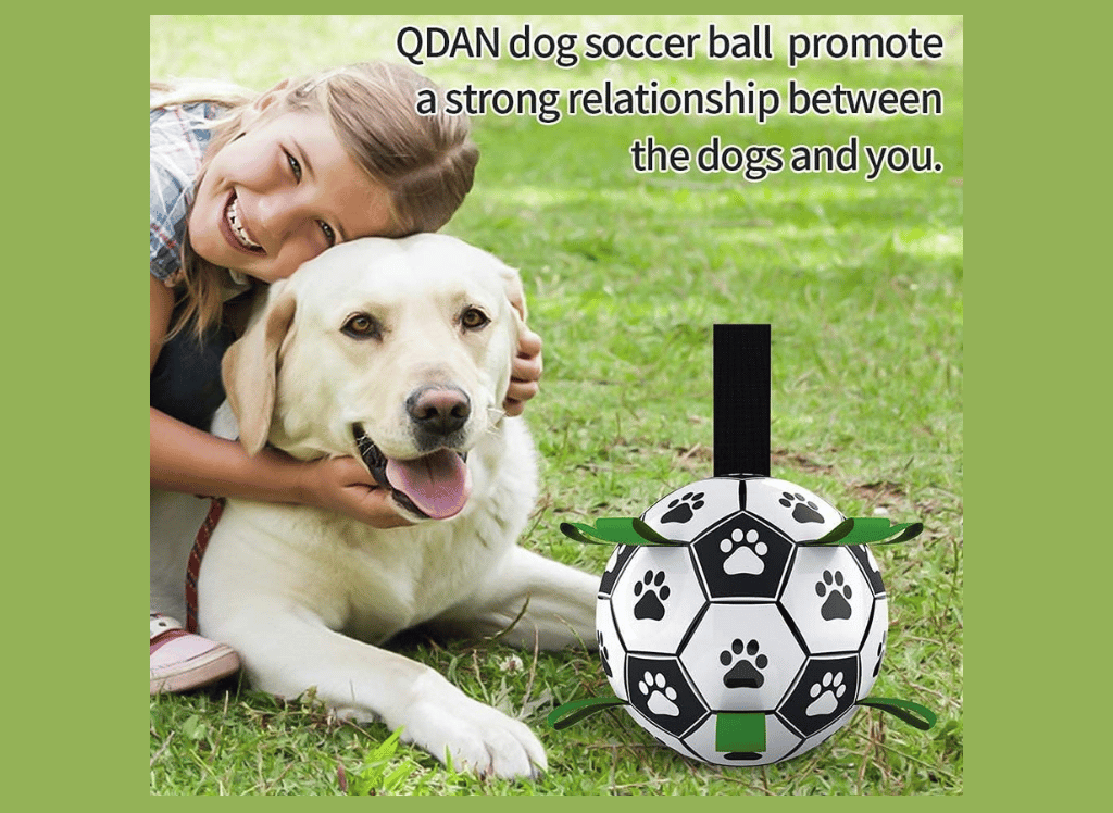 Fetch a Winning Score: Fun with a Dog Soccer Ball!