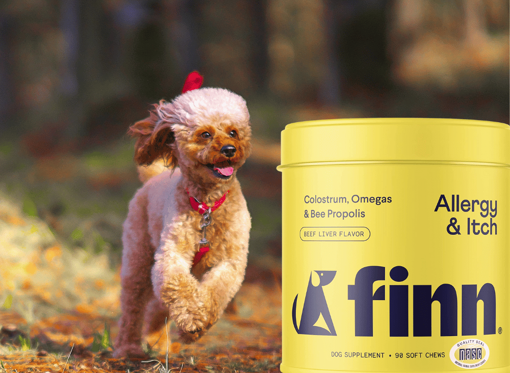 Allergy Troubles? Allergy Supplements for Dogs That Can Help!