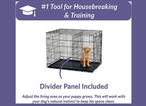The Perfect Solution: A Dog Crate with Divider