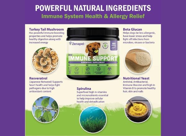 Allergy Supplements for Dogs That Can Help!