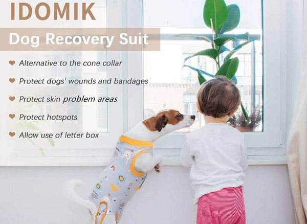 Surgery's a Breeze: How a Dog Surgery Suit Makes the Process Easier