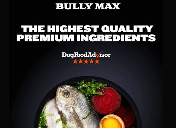 Power Up Your Pup: Try Bully Max Dog Food!