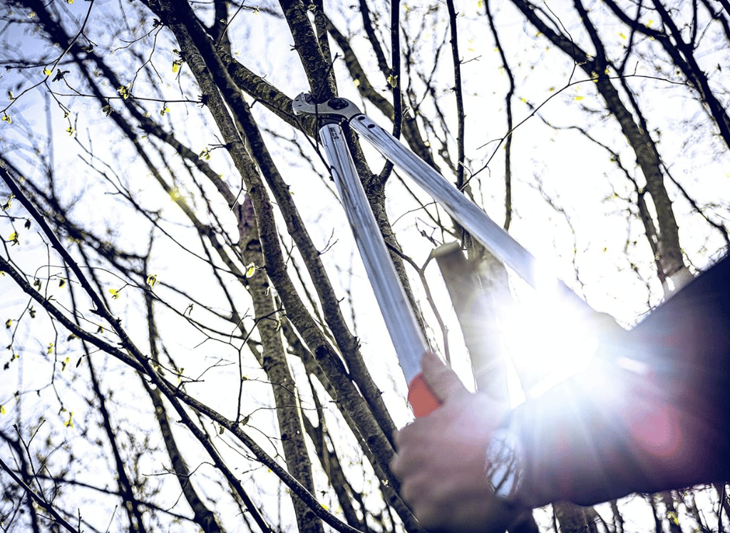 The Cutting Edge: Anvil Lopper To Master Your Garden